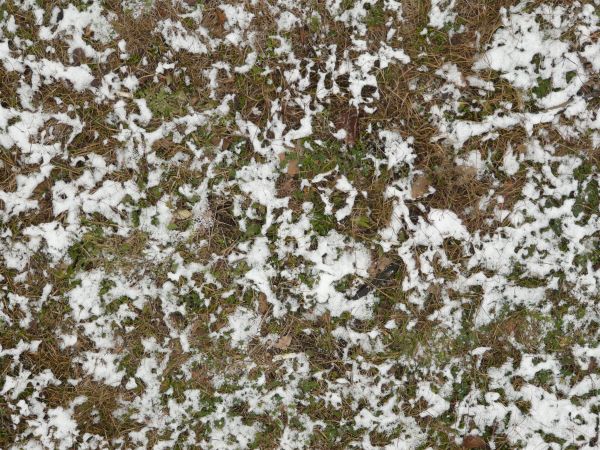 frozen ground texture 0028 - Texturelib